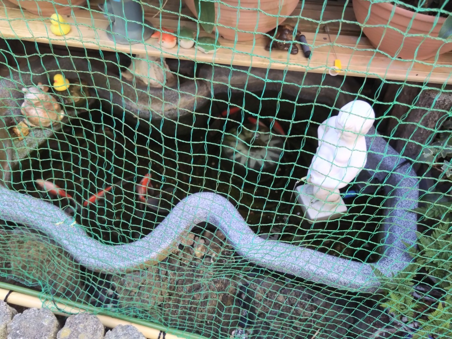 また今年も開催！(⁠ʃ⁠ƪ⁠^⁠3⁠^⁠）勝浦を盛り上げてこう(⁠´⁠ε⁠`⁠ ⁠): たのまる